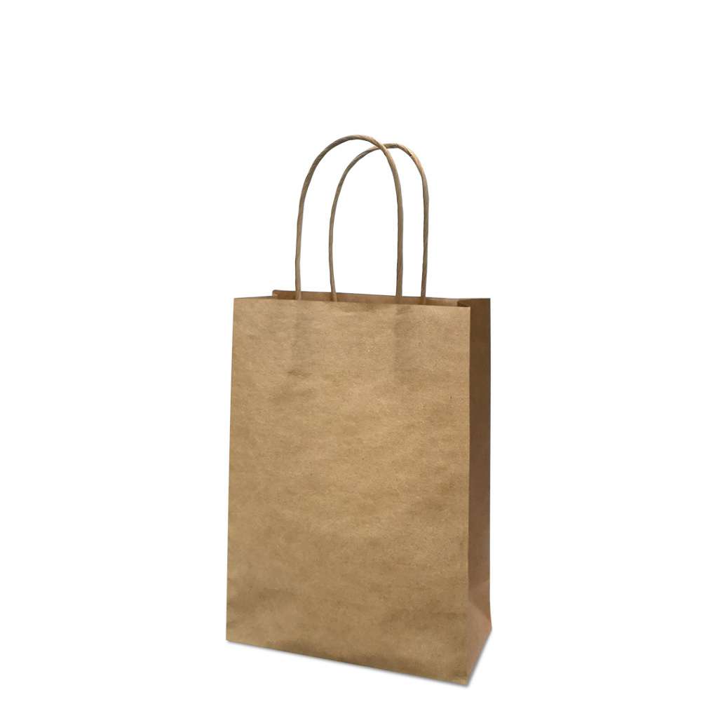 Twisted Handle Paper Bag