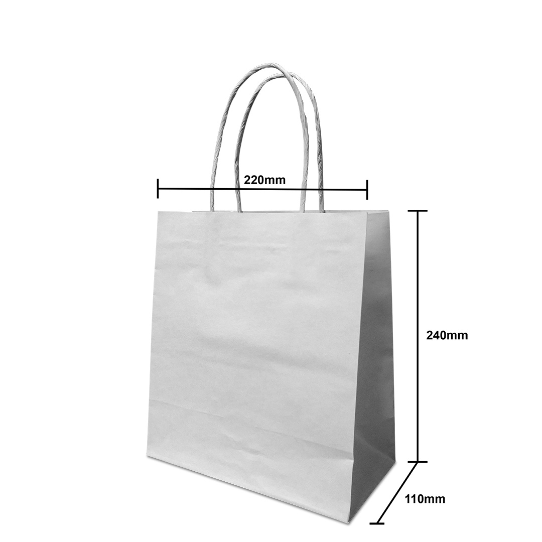 White Kraft Paper Bag with Twisted Handle [M Size] — Store Age