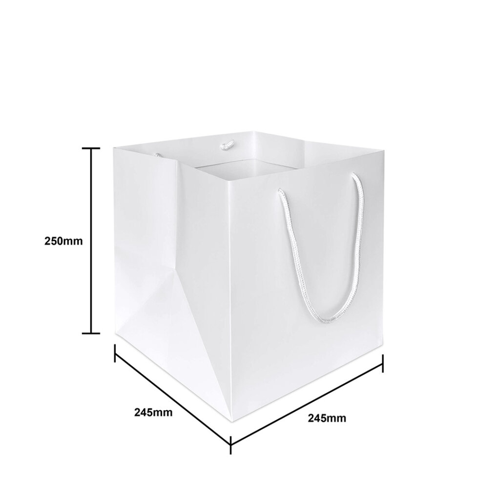 Square White Paper Bag [M Size] Cake Bag — Store Age