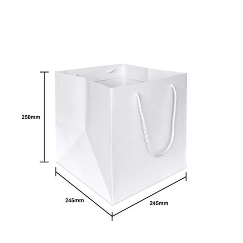 Square White Paper Bag [M Size] Cake Bag » Store Age