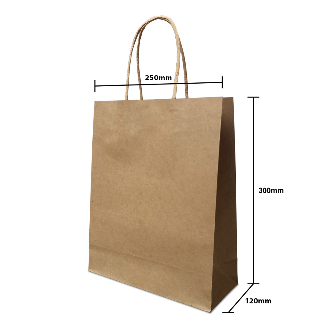 Twisted Handle Paper Bag