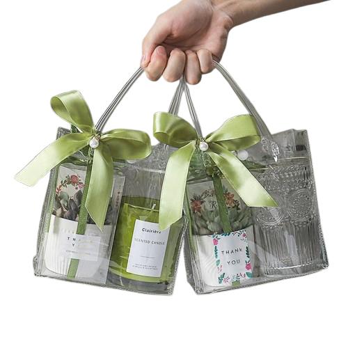 Transparent Bag Archives